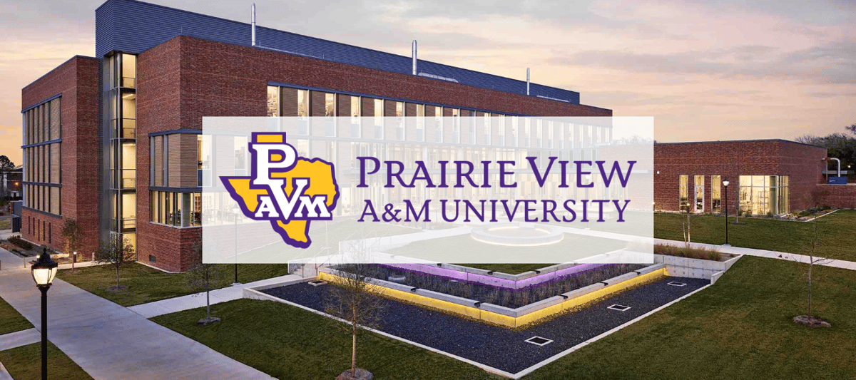 Partner Appreciation Week 2025: Scaling Peer Learning for Every Student